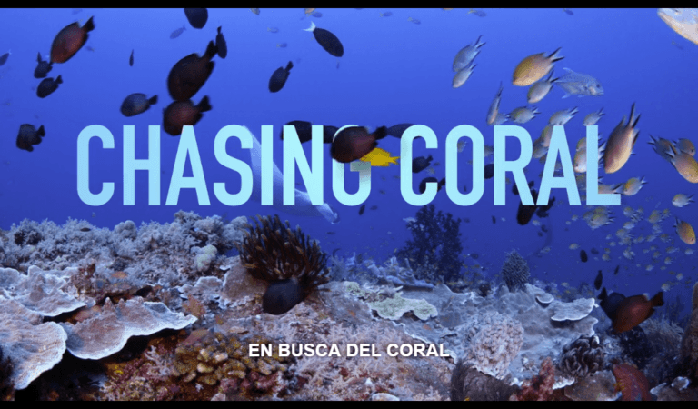 Los mejores documentales en Netflix - NumeroCero